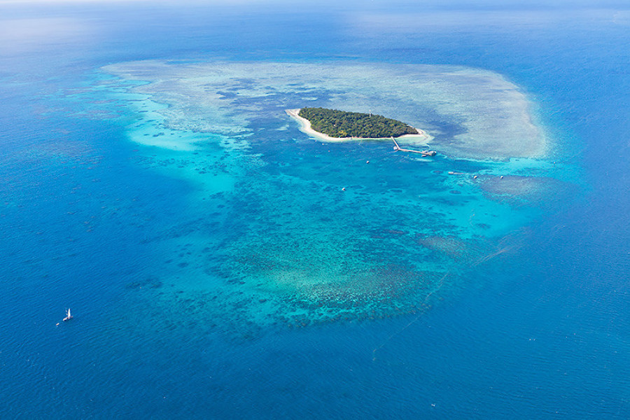 Great Barrier Reef, Qld | Australian Stock Images
