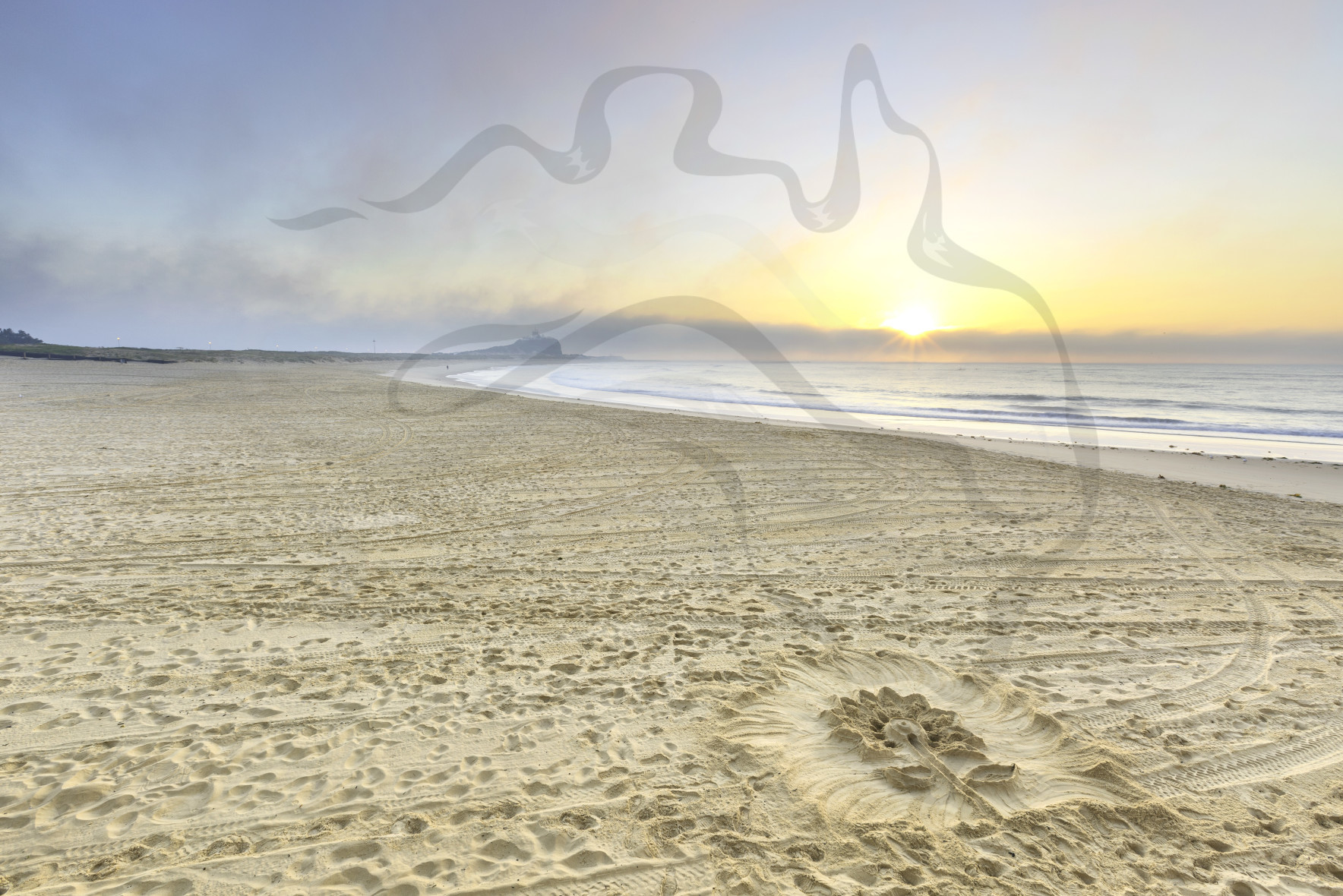 Nobbys Beach Stock Photography - Sand Sunflower - Newcastle - Digital ...