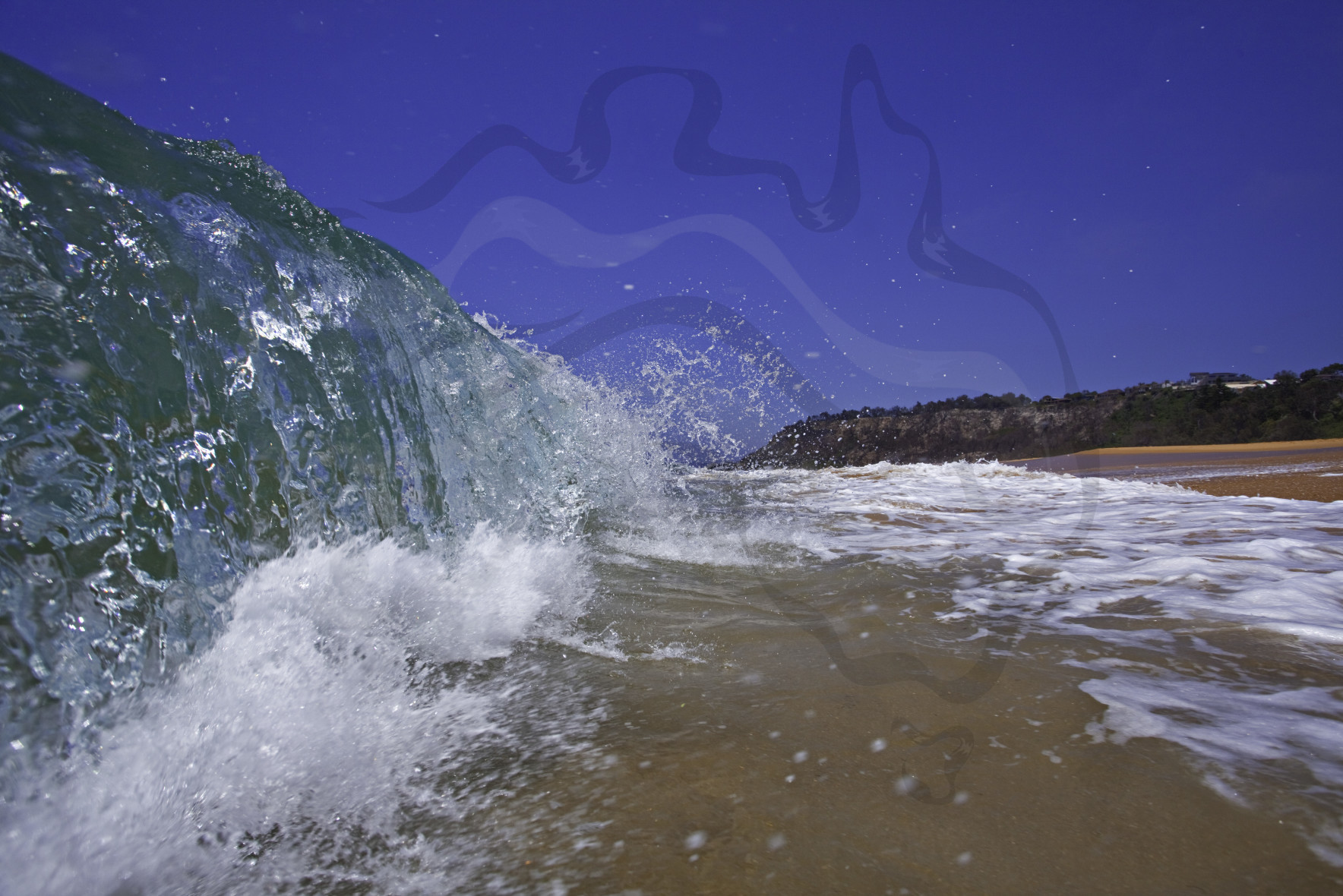 Forresters Beach Wave Curling Stock Photography - High Resolution ...