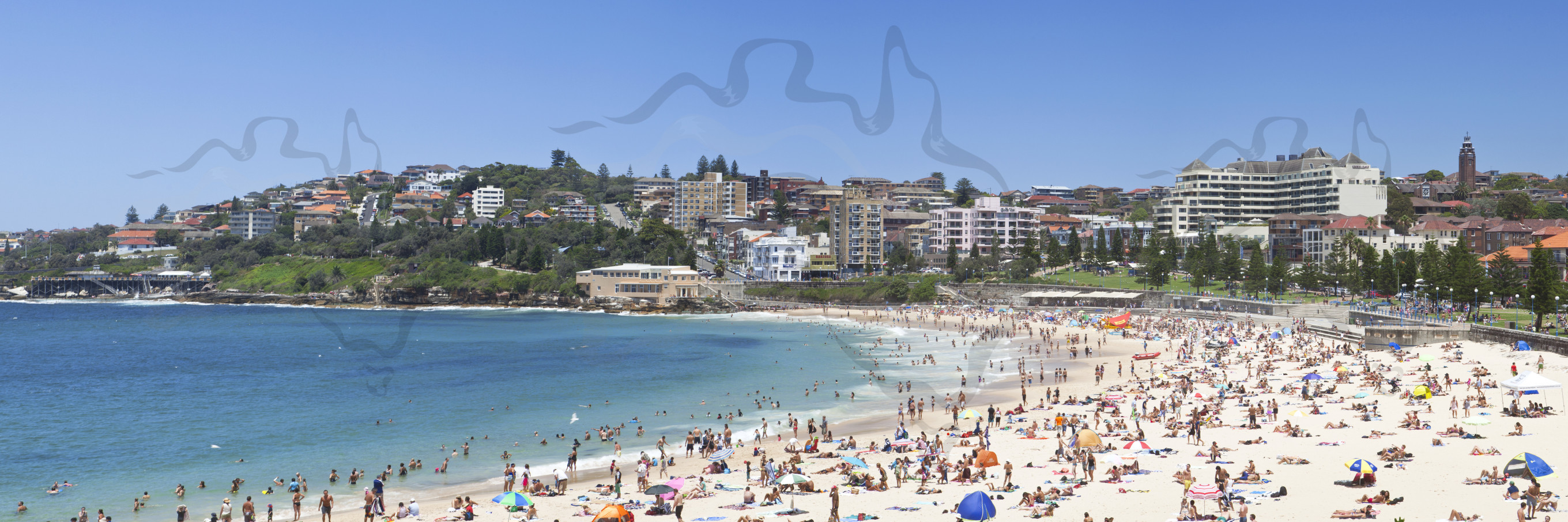 Coogee Beach Summer Panoramic Stock Photos - Royalty Free - High ...