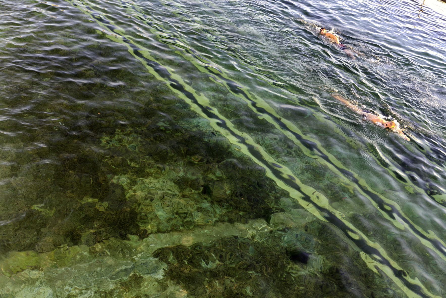 Bronte Bath Swimmers Stock Photo - Eastern Beaches, Sydney - High ...