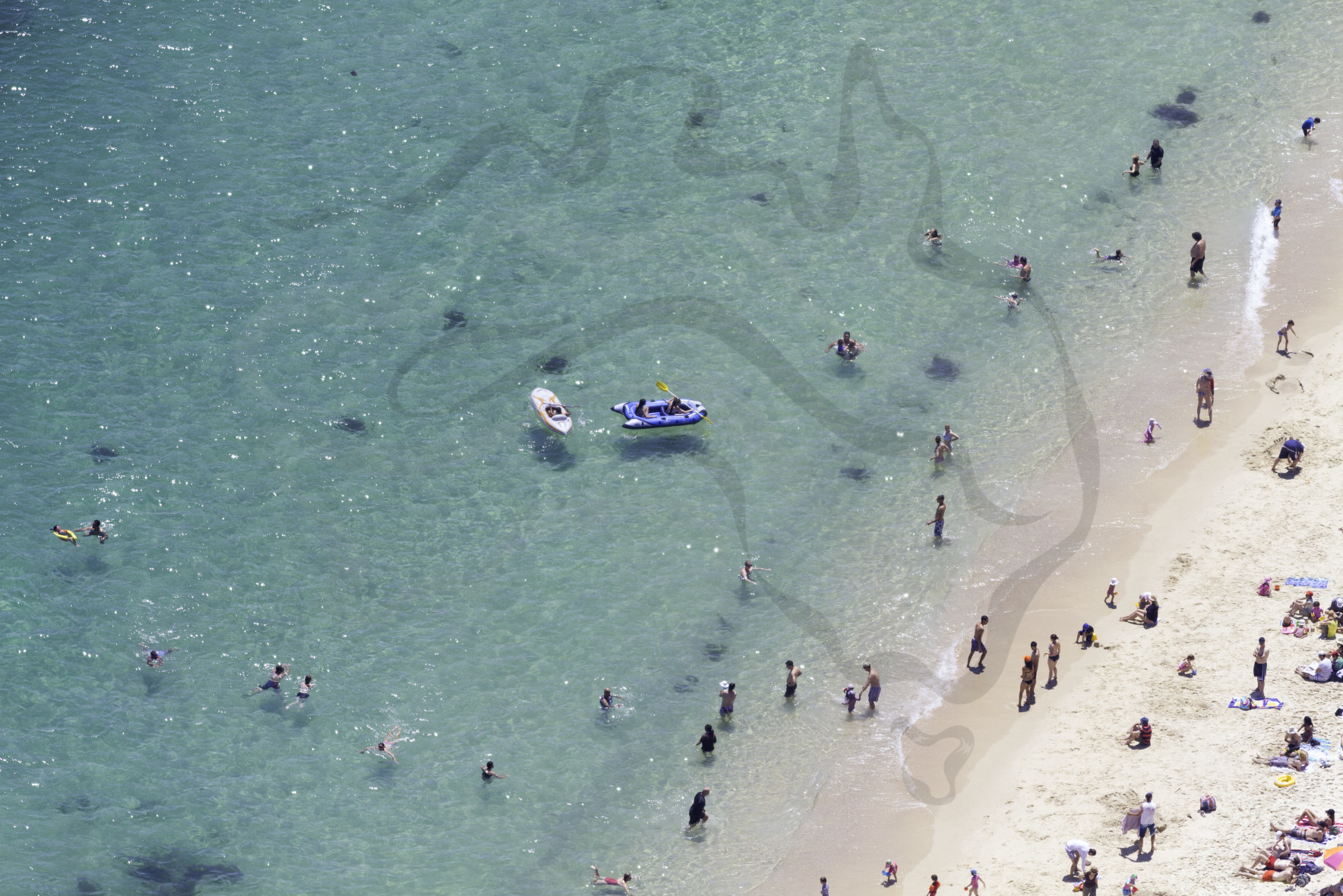 Shark Bay - Neilson Beach Aerial Stock Photos - High Resolution Sydney ...