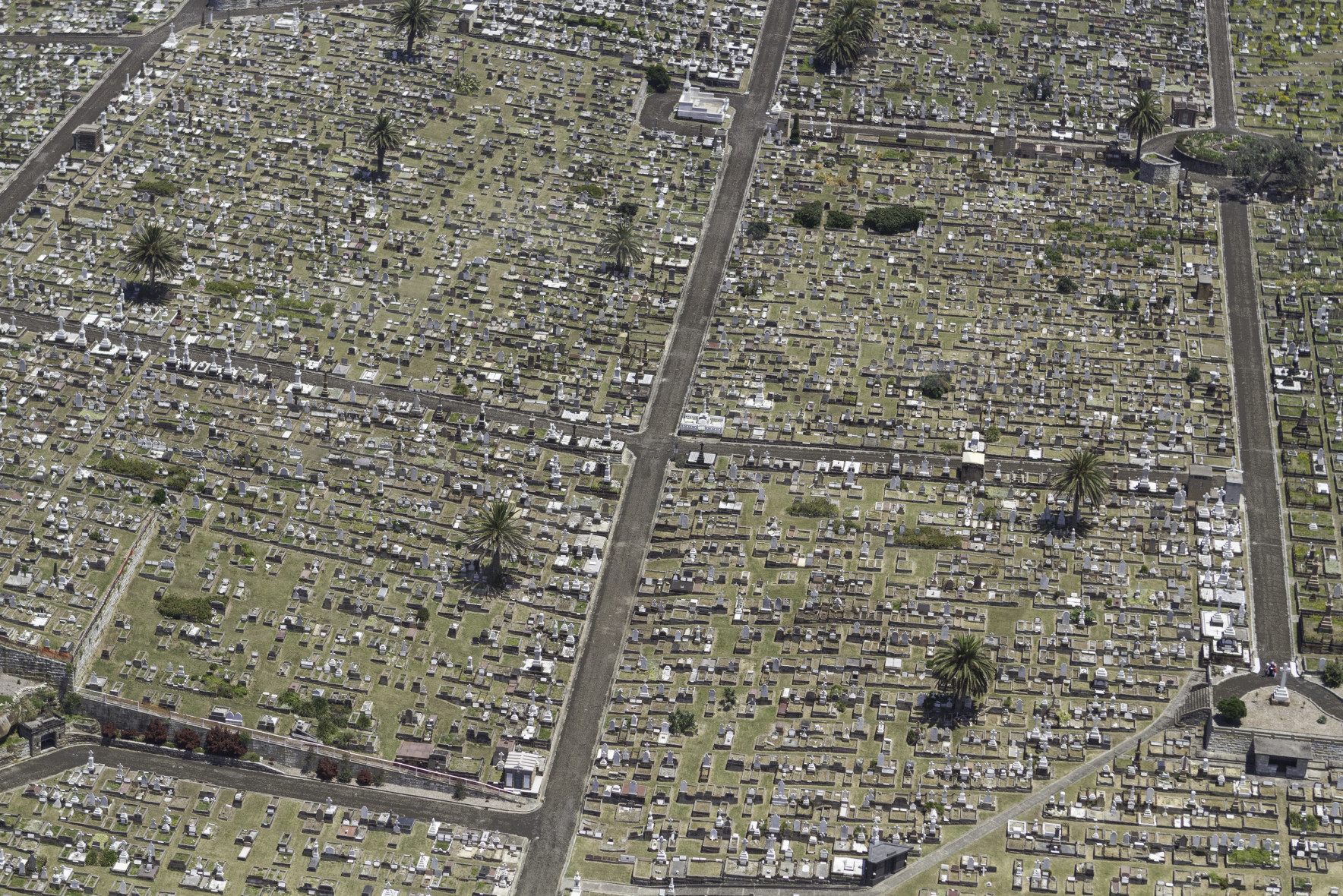 Waverley Cemetery Aerial Stock Image - Close Up - High Resolution Photos