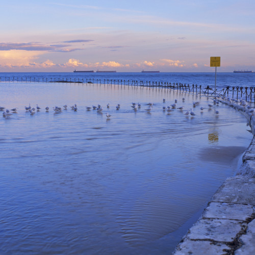 Sygna Shipwreck Stock Image - Sunrise - Stockton Beach - High Resolution
