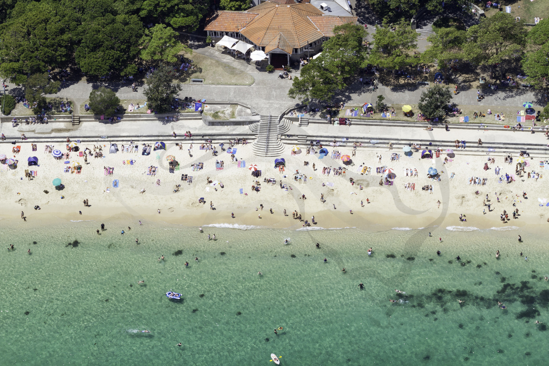 Shark Bay - Neilson Beach Aerial Stock Images - High Resolution Sydney ...