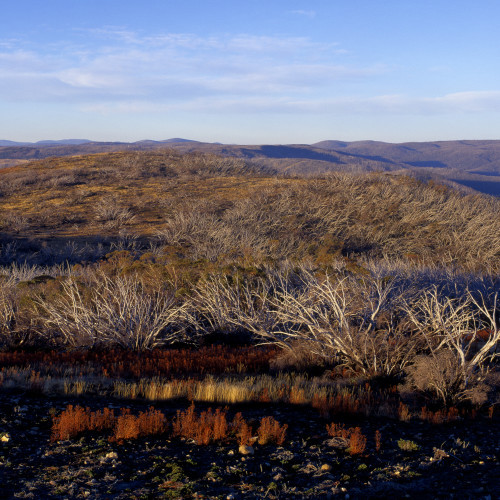 Hyne Timber Mill Tumbarumba Panoramic Stock Image - Sunset Photos ...