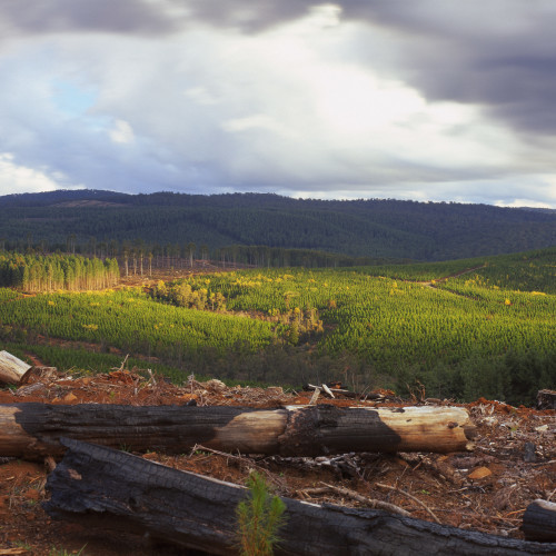 Hyne Timber Mill Tumbarumba Panoramic Stock Image - Sunset Photos ...