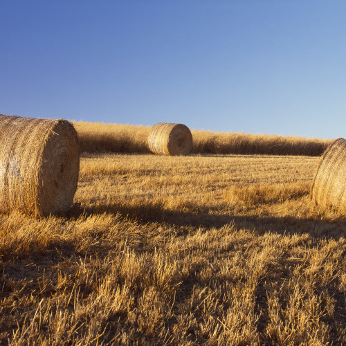 Hay Bails Country NSW Stock Photography - High Resolution Digital Downloads
