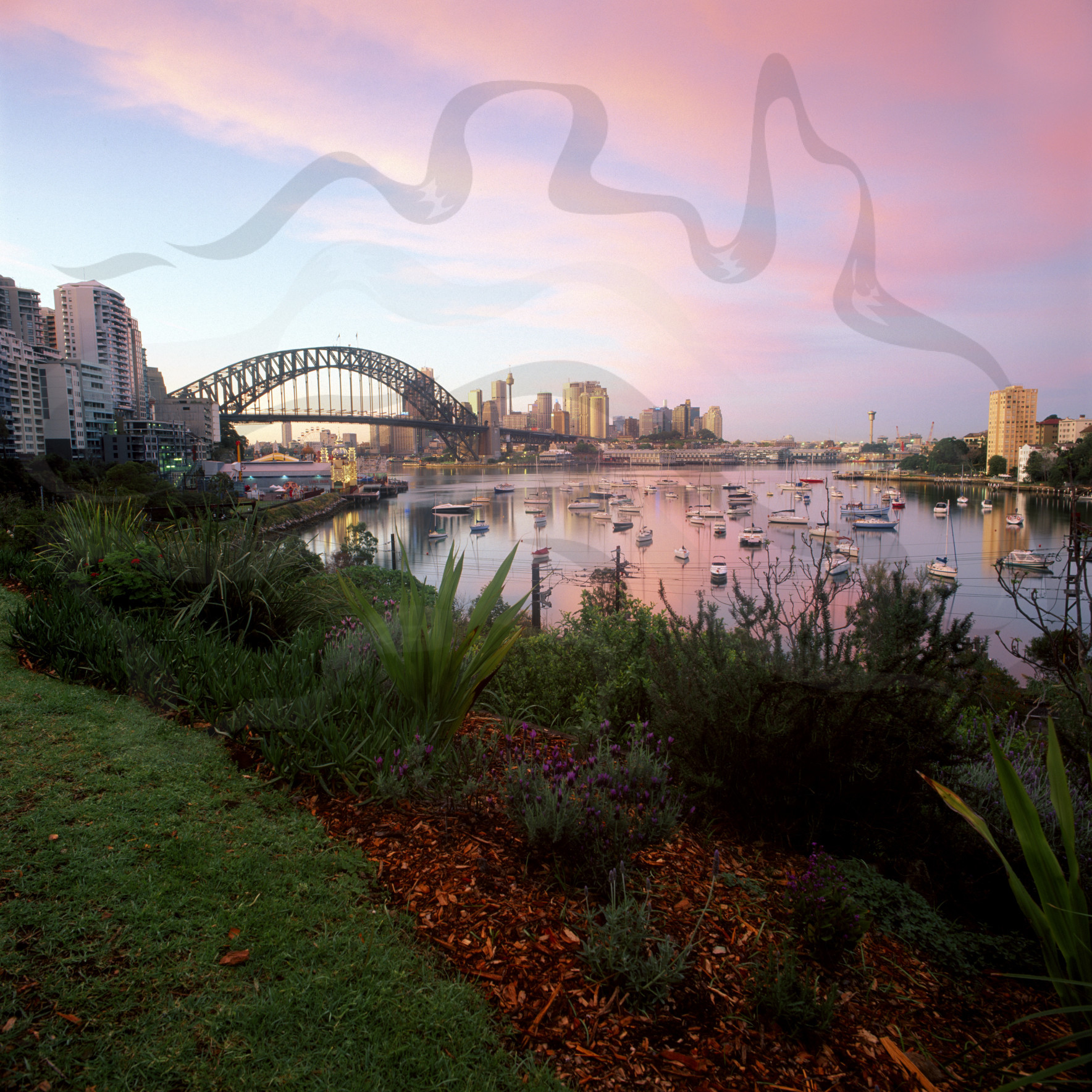 Cheap Lavender Bay Stock Photos - High Resolution Download Now - Web ...