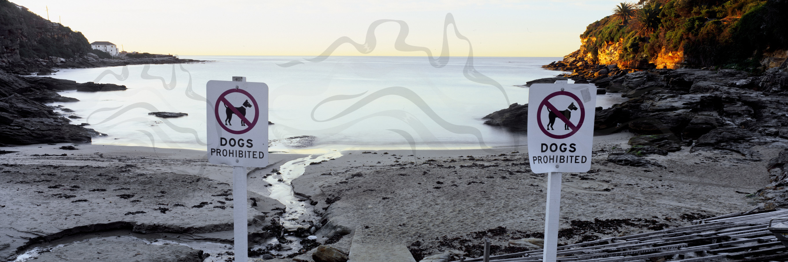 Gordons Bay Sydney No Dogs Signs Stock Photo - Eastern Beaches Sydney ...