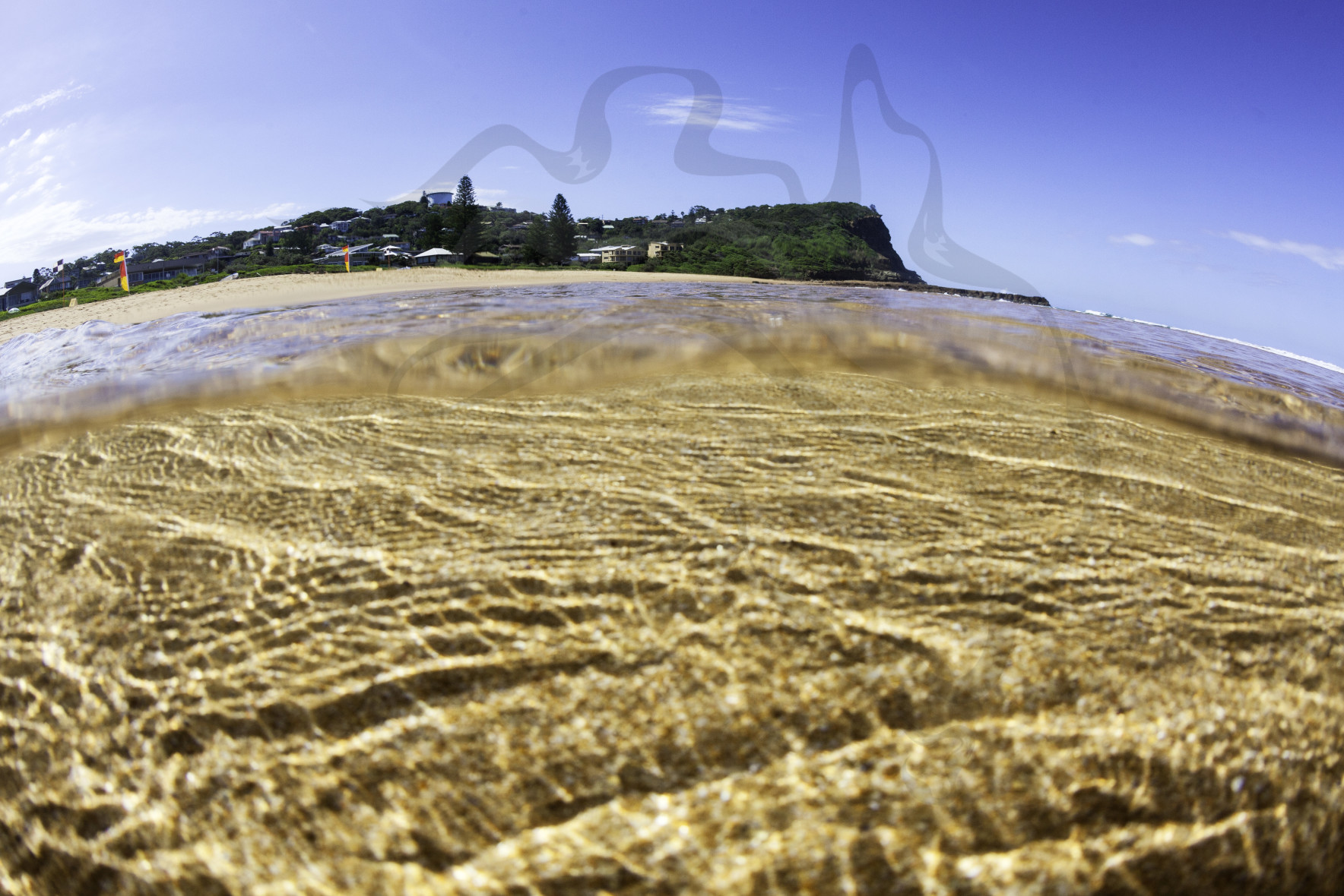 Avoca Beach Daytime Under water and land split view Stock Photography ...